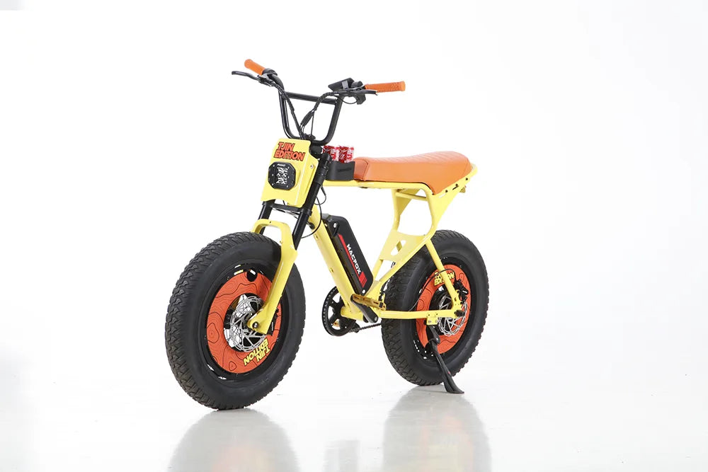 Macfox eBike Mod Gallery | Custom Electric Bike Builds
